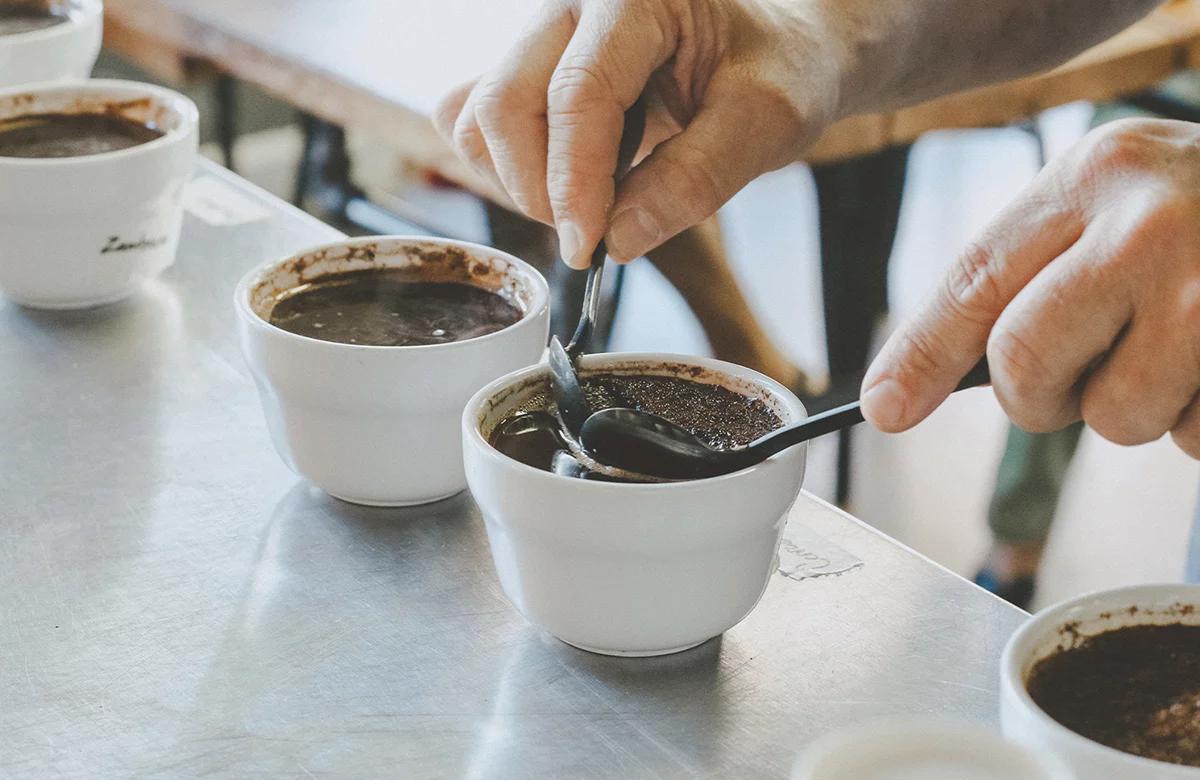 Conviértete En Un Catador De Café | Despiste Café