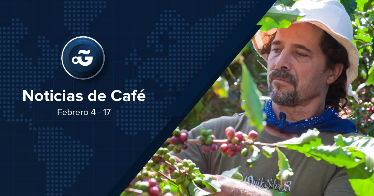 Café De Brasil: El Mejor Café De Especialidad | Despiste Café